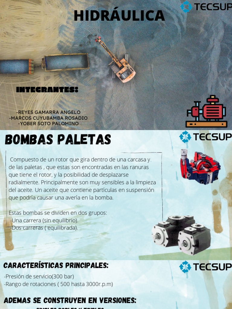 Bombas Paletas - GRUPO 2 | PDF | Bomba | Engranaje