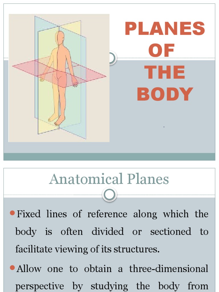 Planes of The Body | PDF | Anatomical Terms Of Location | Angle