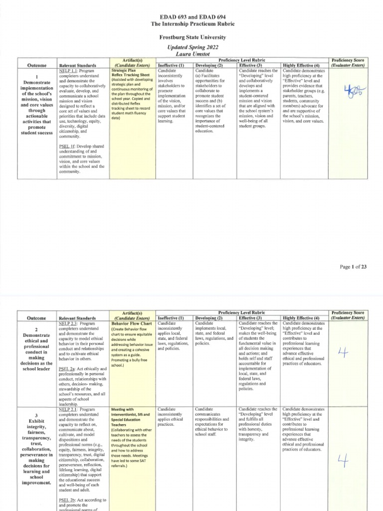 Internship Practicum Rubric | PDF