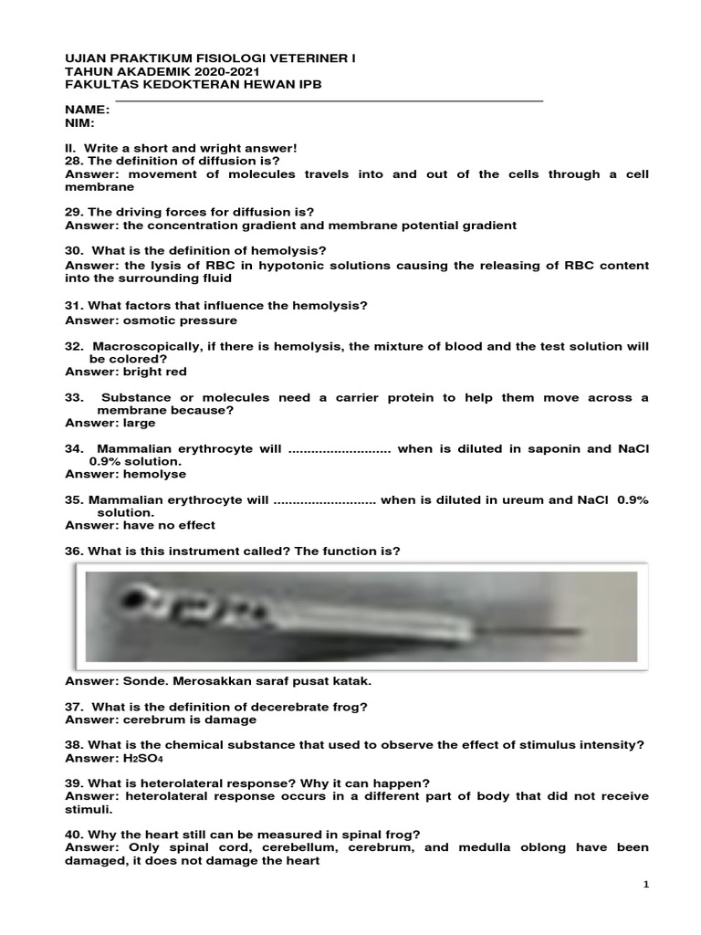 Essay Question For Final Practical Exam Fisvet 2020 | PDF | Science & Mathematics