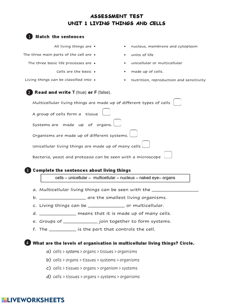 Assessment Test Unit 1 Living Things and Cells: Match The Sentences ...