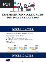 Experiment 6 Isolating Dna From Fruit h1p8 | PDF | Dna | Cell (Biology)