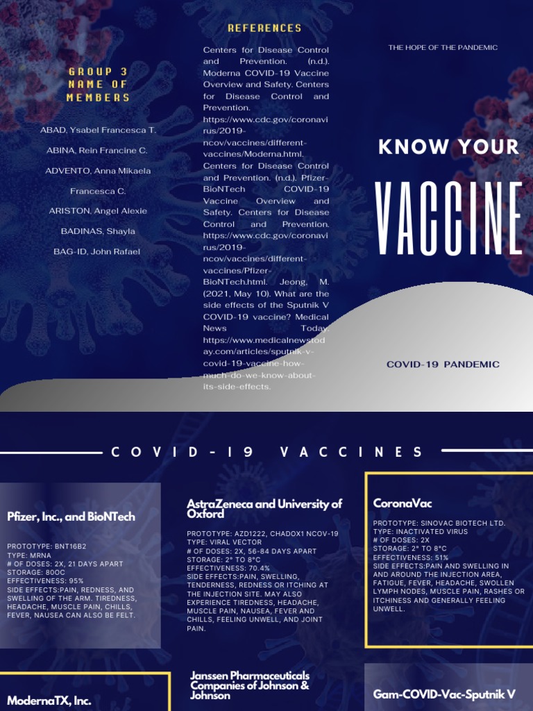 Brochure Vaccines | PDF | Epidemiology | Vaccination