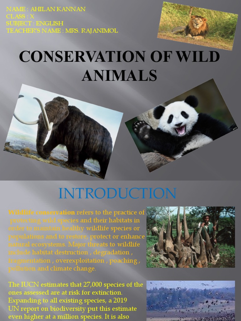 Conservation of Wild Animals | PDF | Tiger | Endangered Species