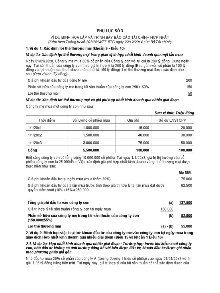Phu Luc So 3 BCTC Hop Nhat Thong Tu 202 | PDF