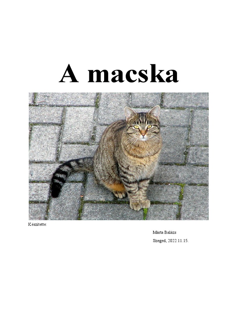 A Macska | PDF