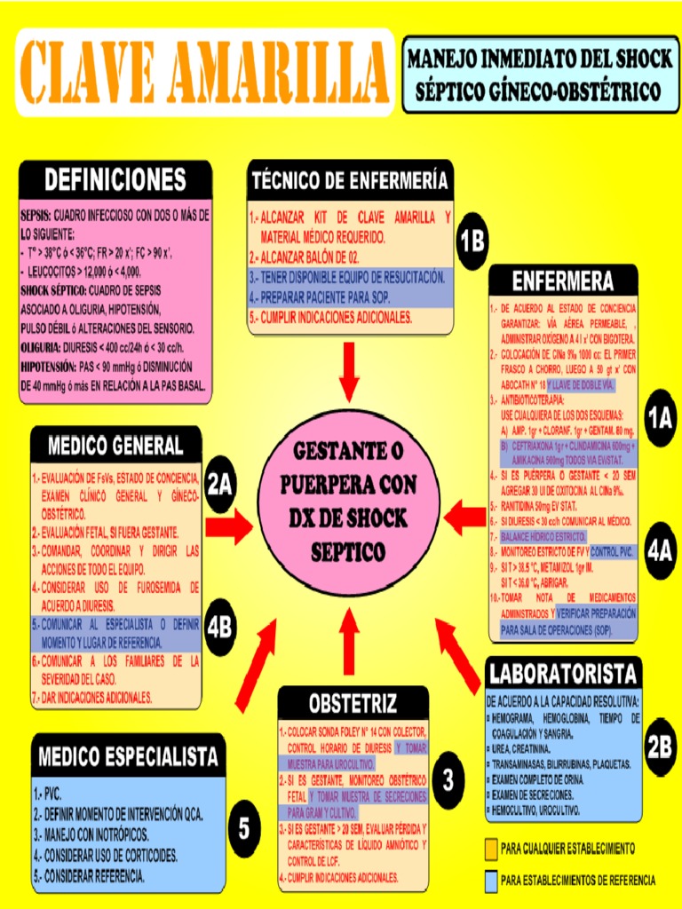 Claves Obstetricas | PDF