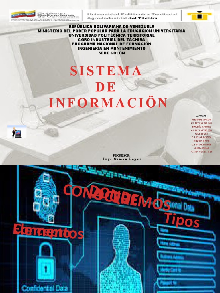 Sistema de Informacion | PDF | Sistema de informacion | Tecnologías de la información