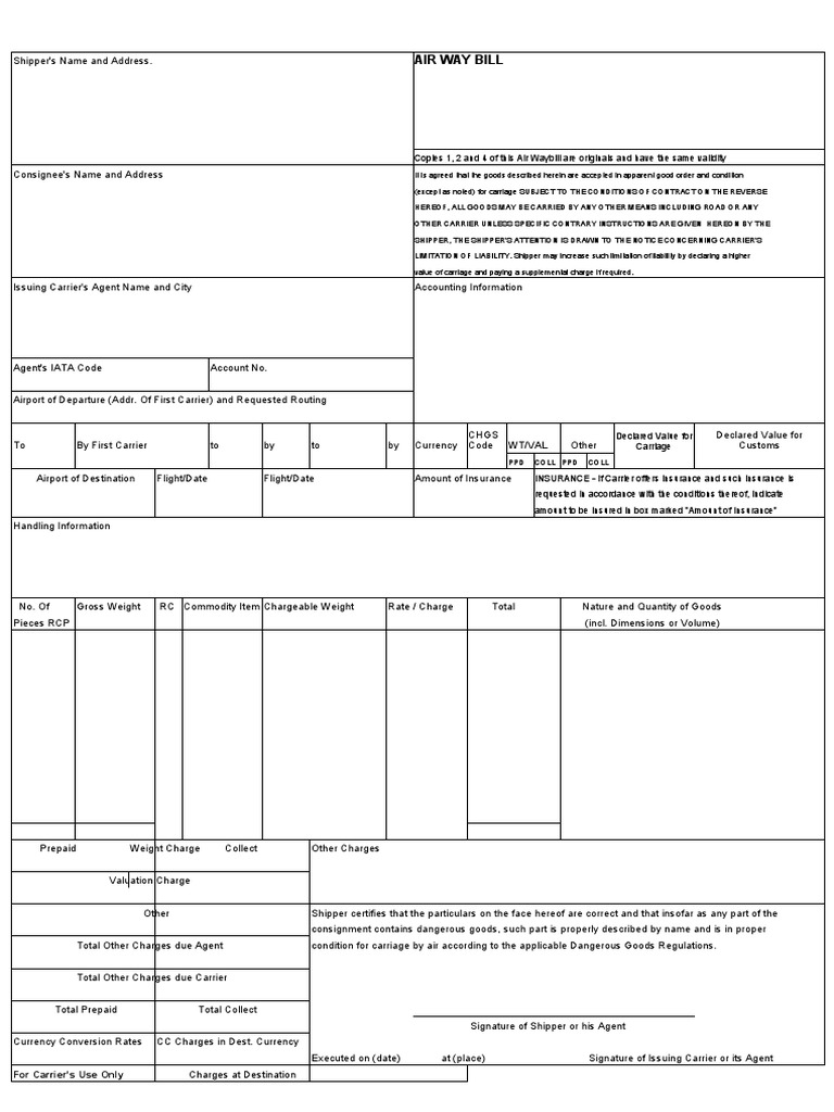 Formato en Blanco BL | PDF