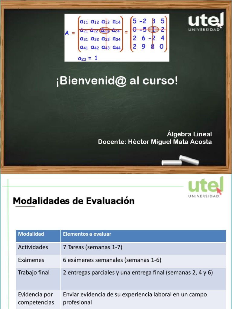 Álgebra Lineal - Semana 1 - Matrices y Determinantes | PDF
