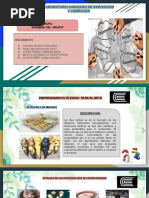 Cledium 300 mg: Uso y Composición | PDF | Osteoartritis | Medicamentos ...