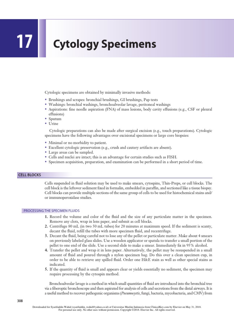 Chapter 17 Cytology Specimens | PDF | Cytopathology | Medical Specialties