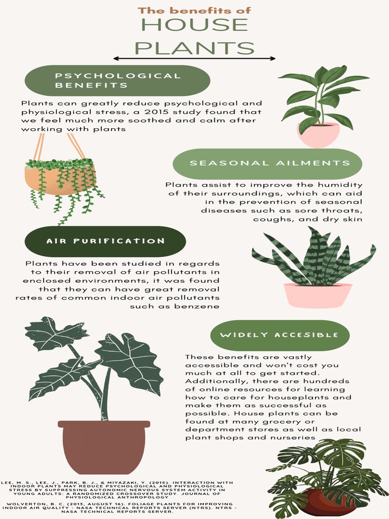 House Plants Infographic Updated | PDF | Houseplant | Health Sciences