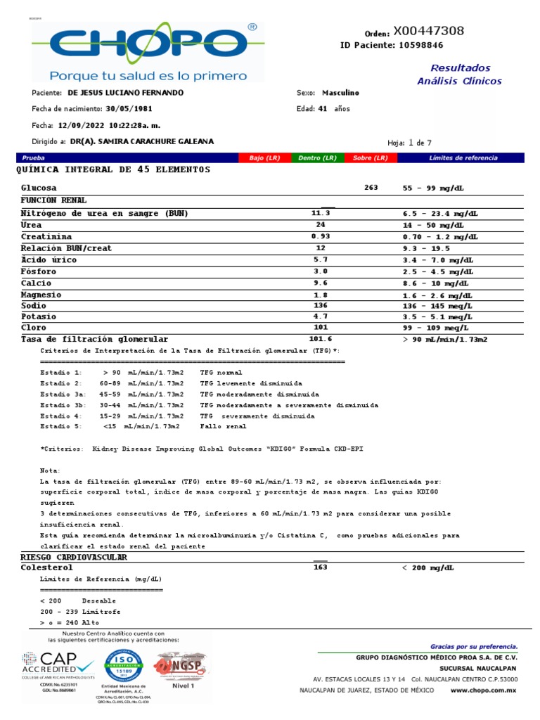 Química Integral de 45 Elementos | PDF
