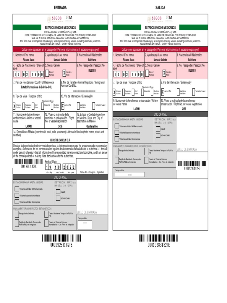 Forma Migratoria 00019283182FE | PDF | Visa de viaje | Gobierno y ...