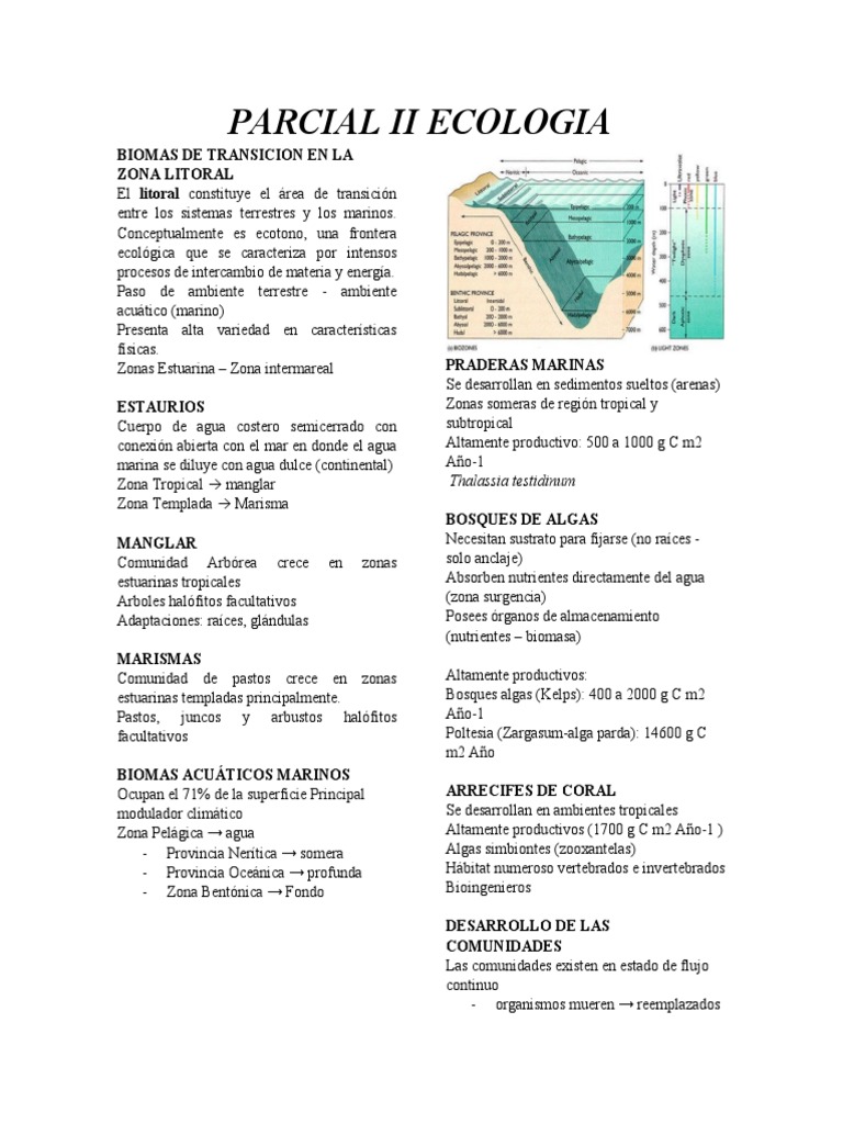 Ecología De Biomas Litorales Y Sucesión Pdf Ciencia Y Matemáticas