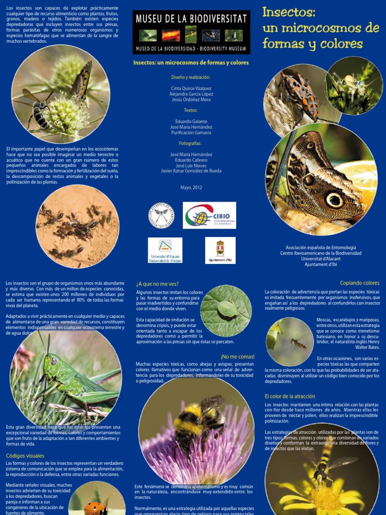triptico_insectos_web | PDF | Insectos | Depredación