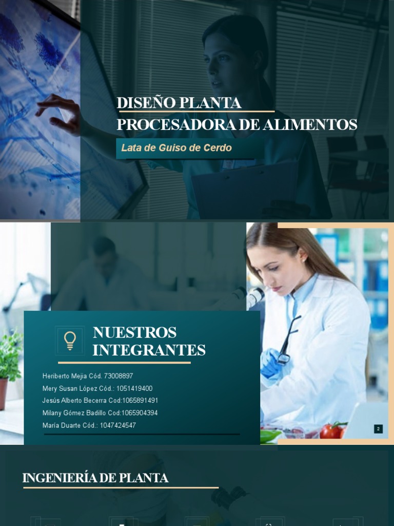 Diseño Planta FINAL | PDF | Alimentos