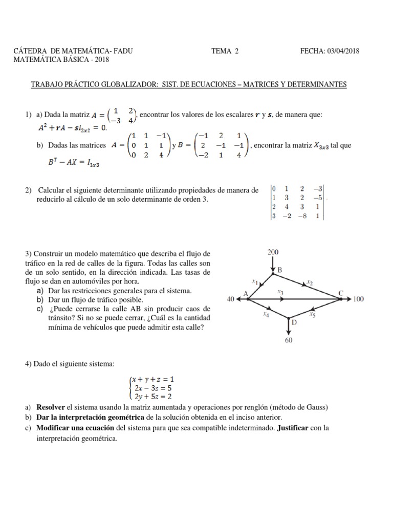 TPG - ALGEBRA - 2018 - RESOLUCIÓN Tema 2 | PDF | Matriz (Matemáticas ...