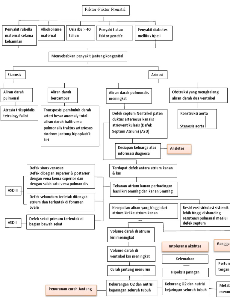 Woc Lengkap ASD | PDF