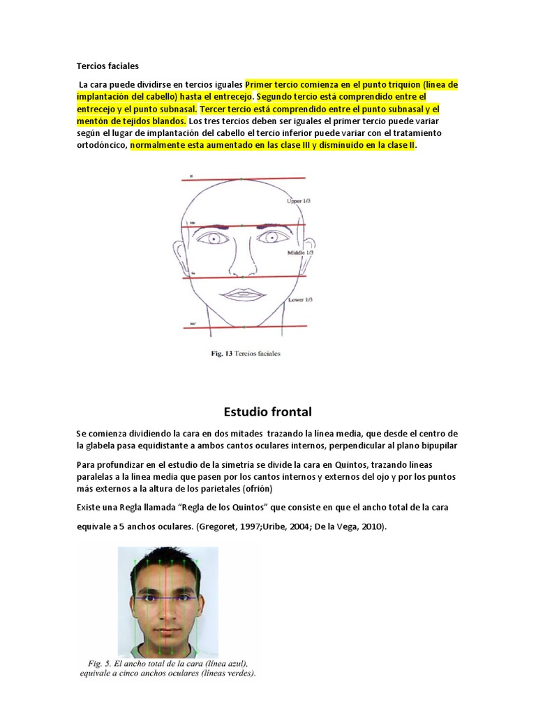 Analisis Estetico Facial Pdf Cara Cabeza Y Cuello Humanos