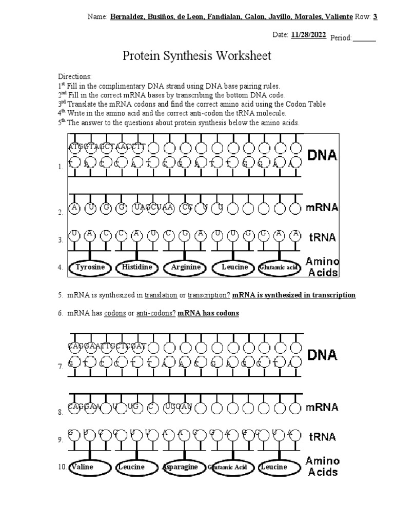 Protein Synthesis Worksheet Guide | PDF | Translation (Biology ...