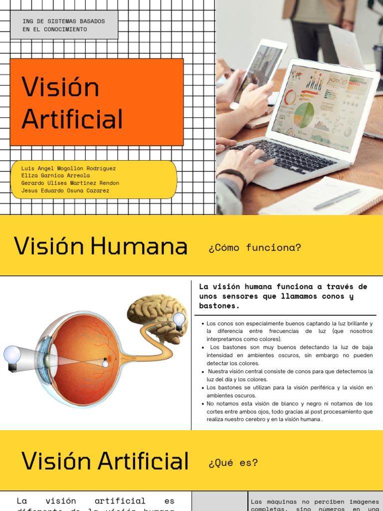 Vision Artificial | PDF | Percepción visual | Visión por computador