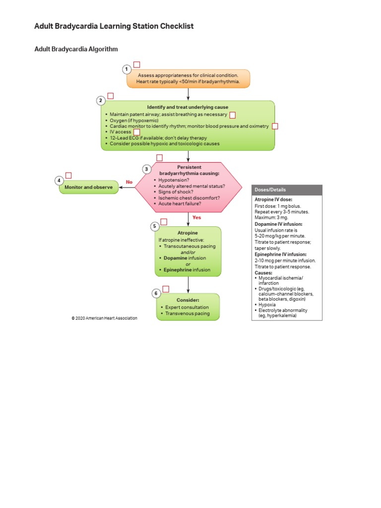 ACLS Algorithms 3 | Download Free PDF | Cardiology | Internal Medicine
