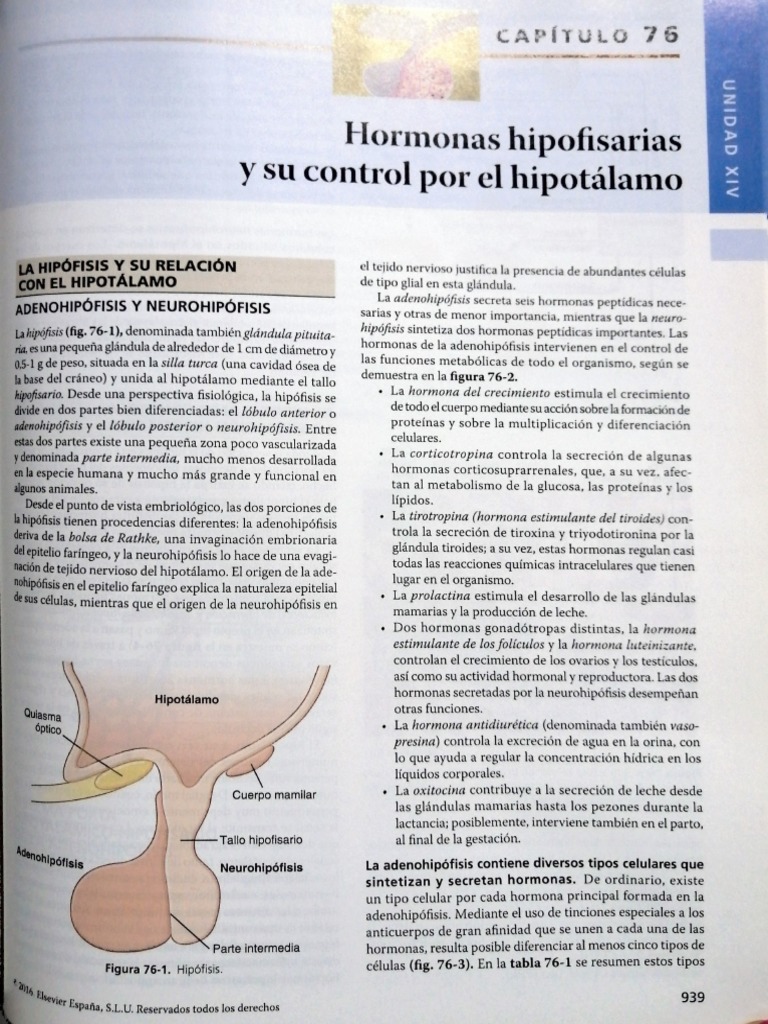 Cap. 76,77,79 Guyton | PDF