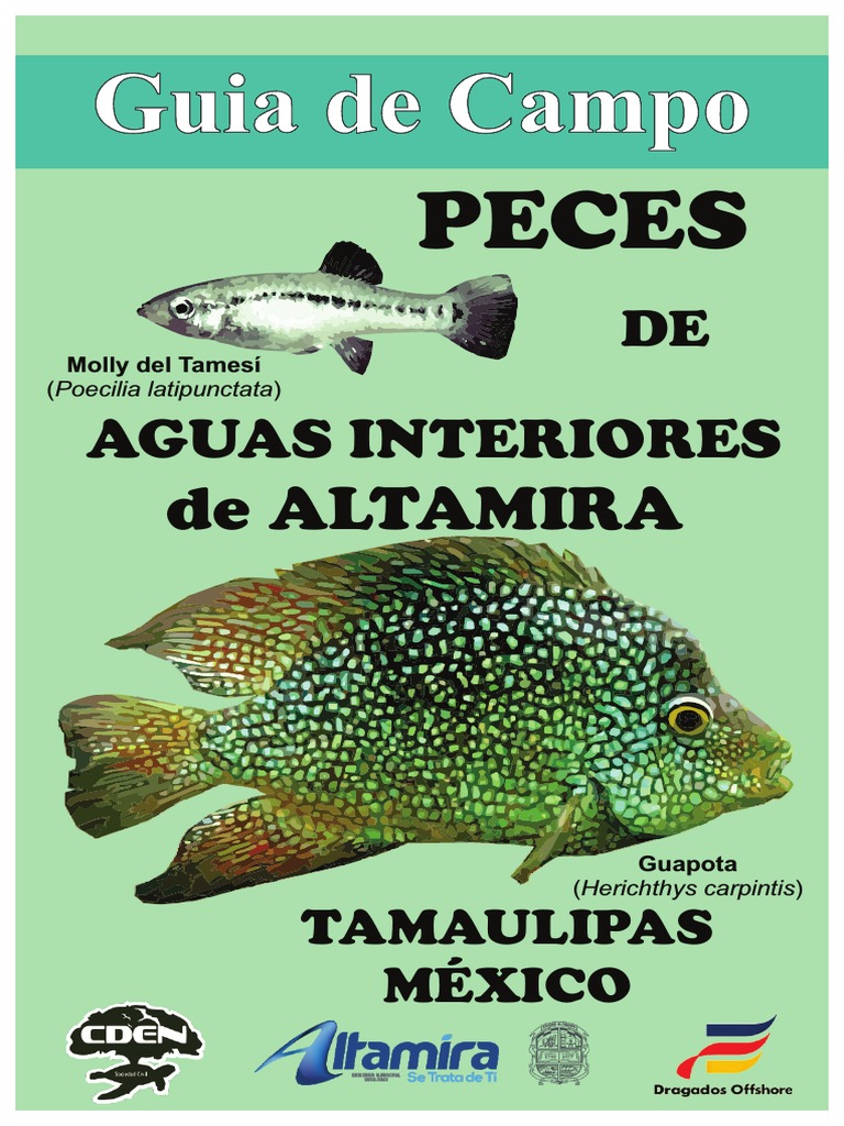 Guia de Peces de Aguas Interiores Altamira | PDF | Pescado | Animales acuáticos