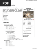 Primate Chart | PDF | Monkey | Ape