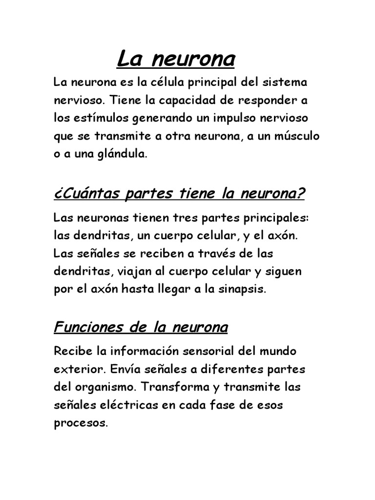 La Neurona | PDF