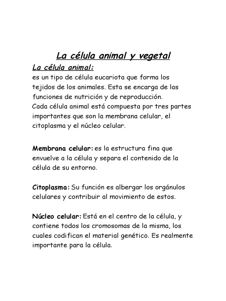 La Célula Animal y Vegetal | PDF