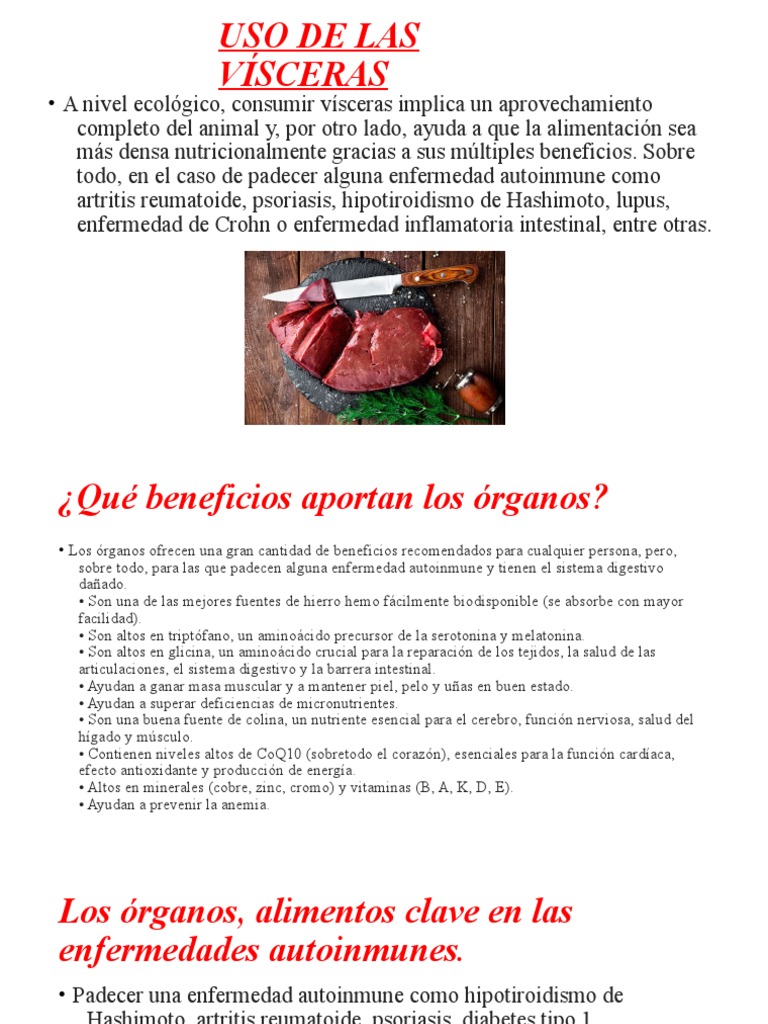 Vísceras | PDF | Alimentos | Enfermedad autoinmune