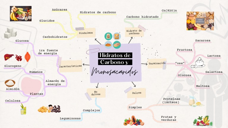 Mapa Mental de Hidratos de Carbono | PDF | Carbohidratos | Glucosa