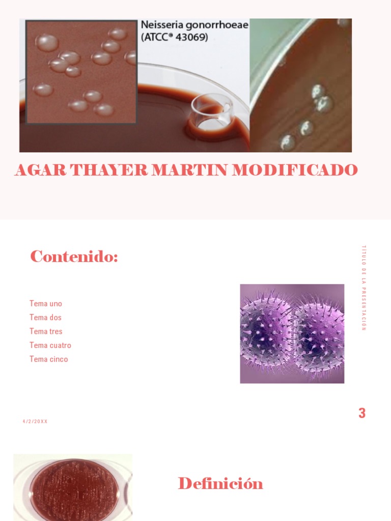 Agar Thayer Martin Modificado | PDF | Organismos | Especialidades Medicas