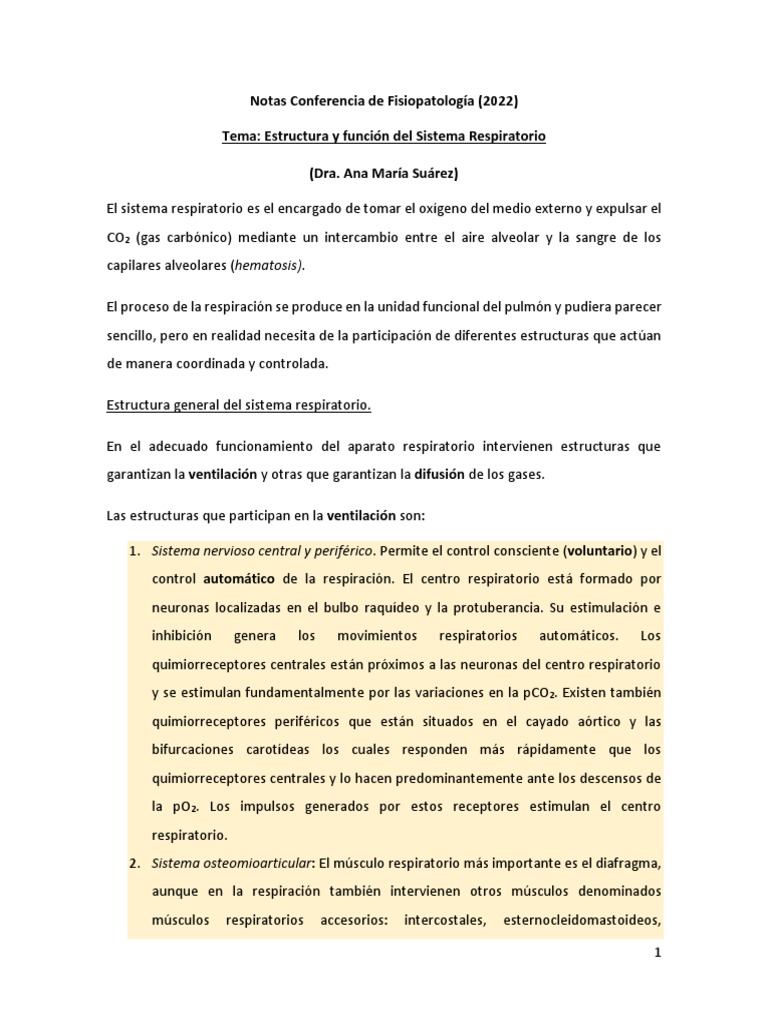 Estructura y Funcion Del Sistema Respiratorio | PDF | Sistema ... Estructura y Funcion Del Sistema Respiratorio | PDF | Sistema ...