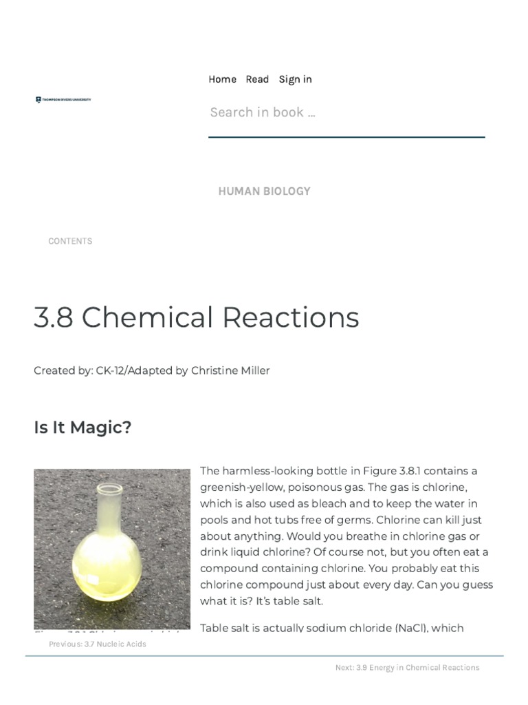 Understanding Chemical Reactions | PDF | Chemistry | Chemical Reactions