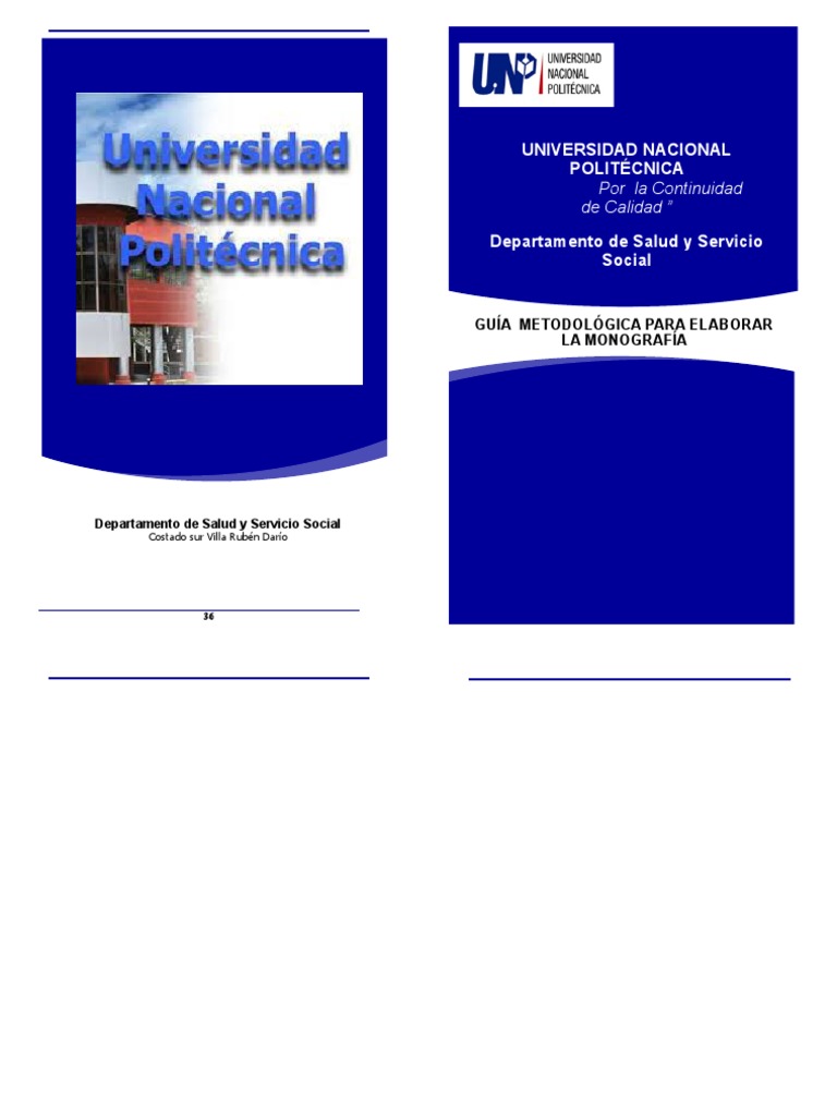 Guia Metodológica DSSS Unp | PDF