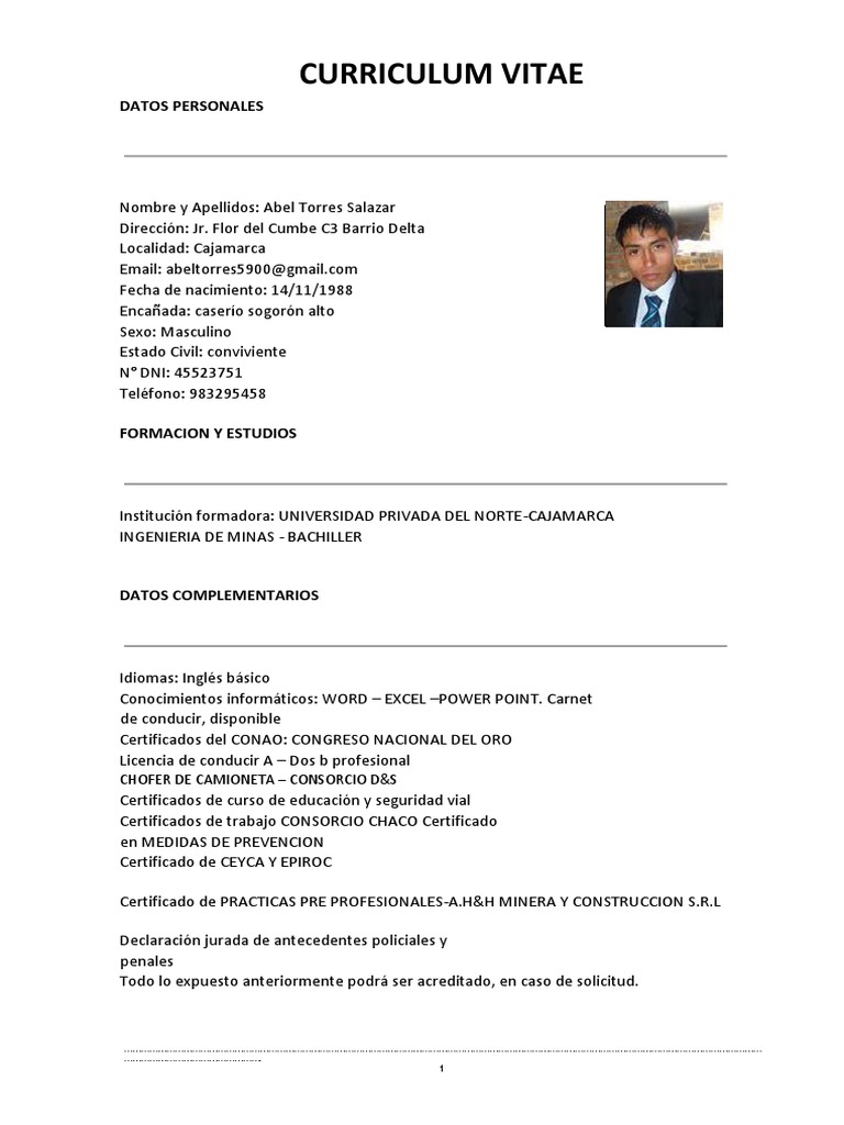 Curriculum Vitae de Abel Torres | PDF