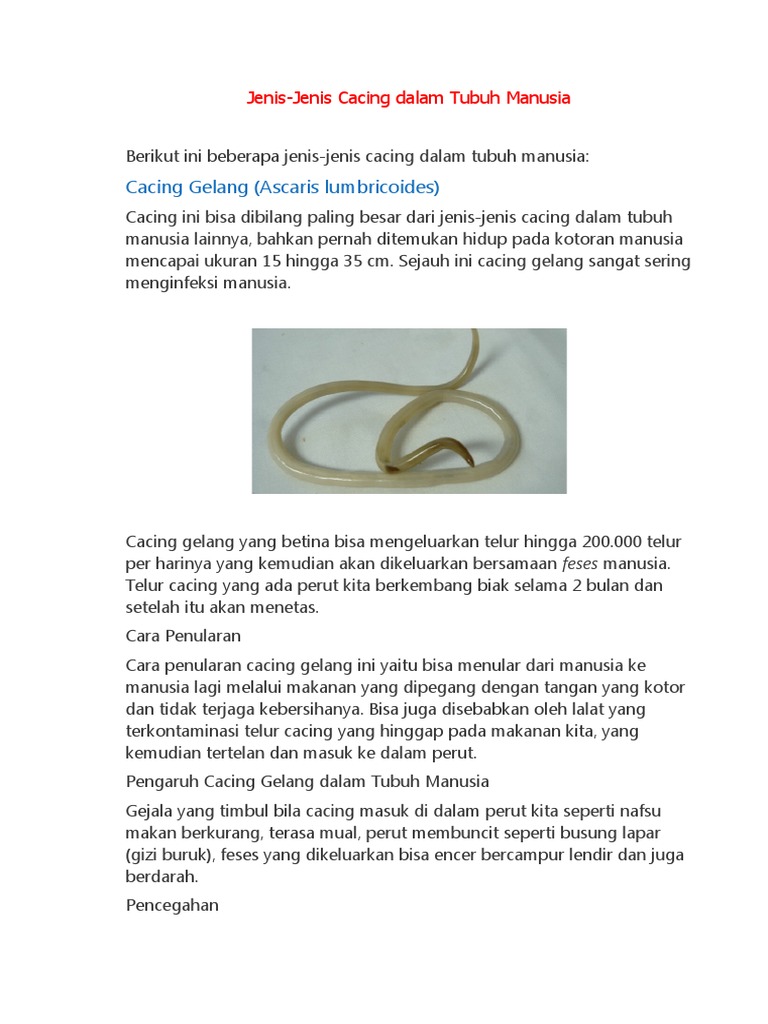 Jenis-Jenis Cacing dalam Tubuh Manusia | PDF