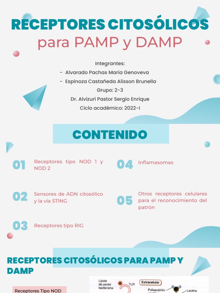 Receptores Citoplasmáticos PAMP/DAMP | PDF