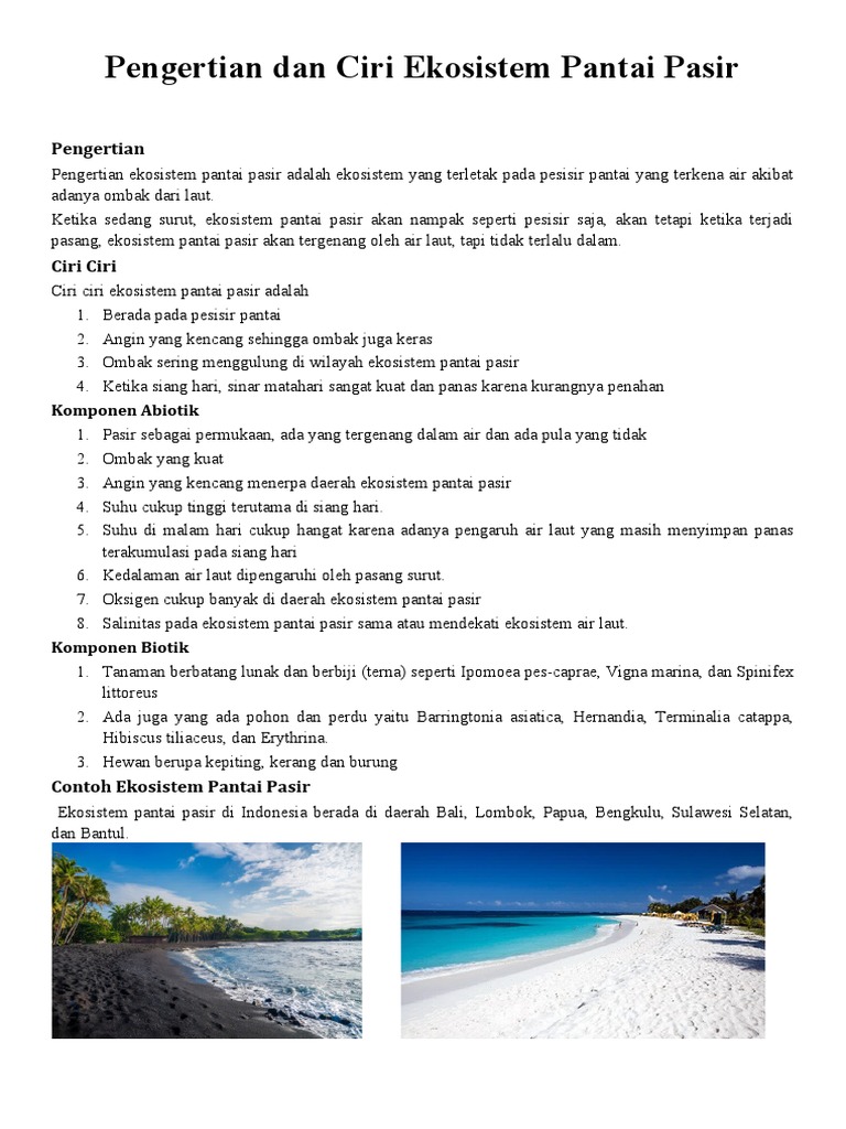 Pengertian Dan Ciri Ekosistem Pantai Pasir | PDF