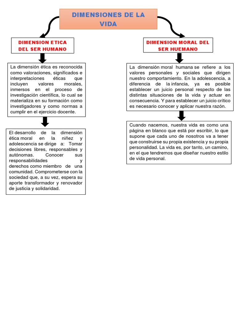Dimensiones Del Ser Humano | PDF