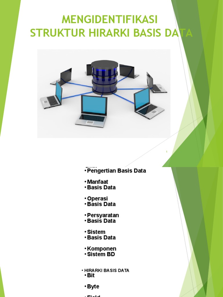 Struktur Hirarki Basis Data | PDF