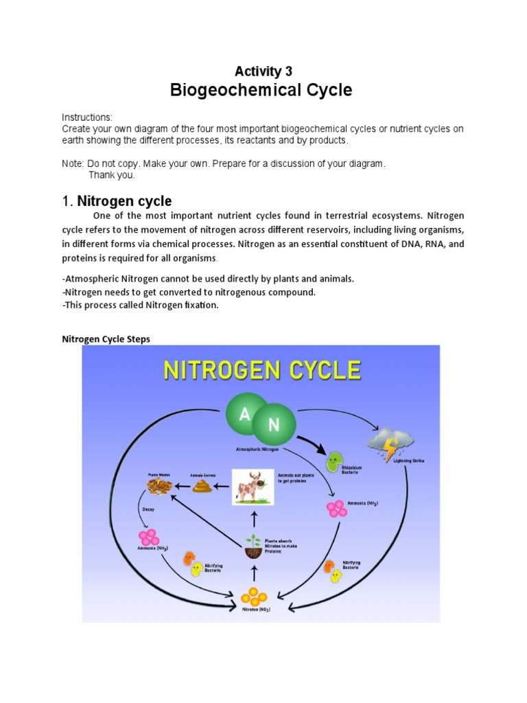 Biogeochemical Cycle | PDF | Water Vapor | Evaporation