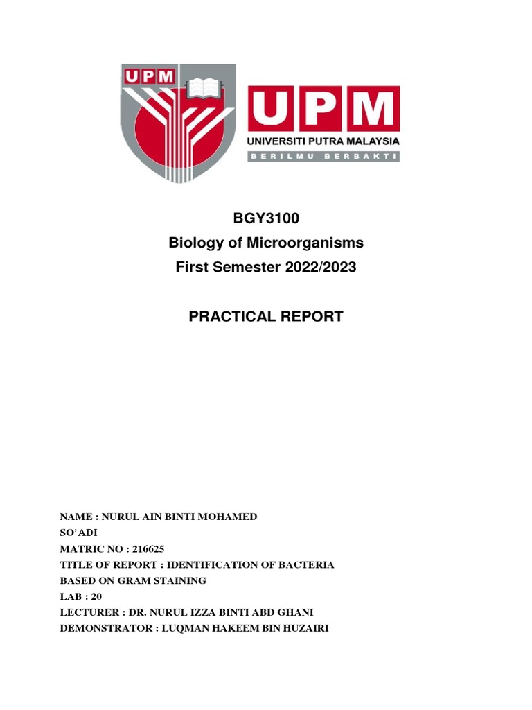 Lab Report 3 | PDF | Staining | Gram Positive Bacteria