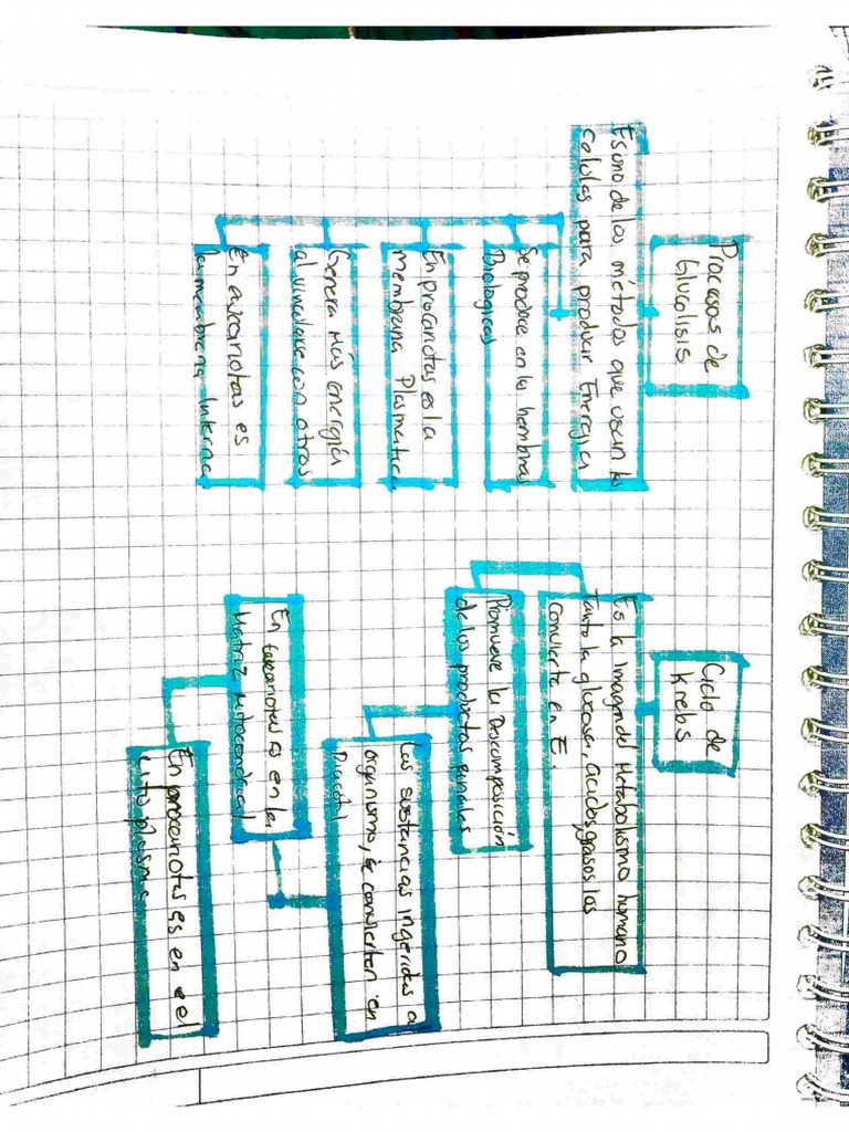 Actividad 3 Unidad 2 | PDF Actividad 3 Unidad 2 | PDF