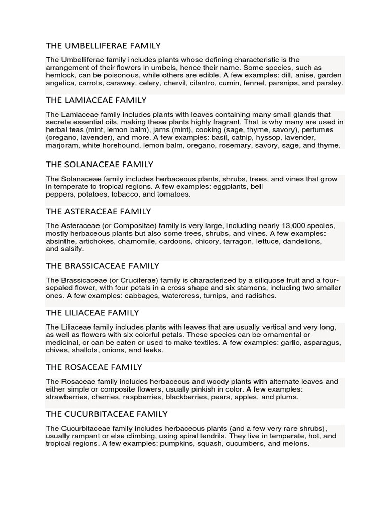 The Umbelliferae Family | PDF | Plants | Vegetables