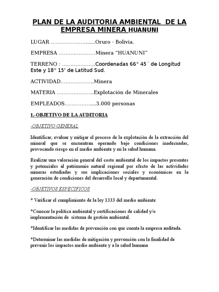 Plan de Auditoria | PDF | Auditoría | Minería